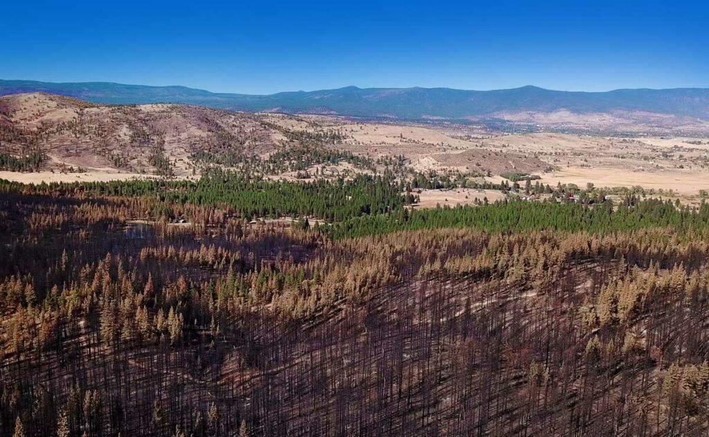 SNC’s 2020 Annual Report | Sierra Nevada Conservancy